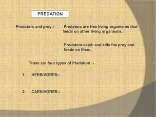Ecological relationship .ppt