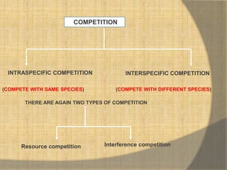 Ecological relationship .ppt