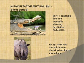 Ecological relationship .ppt