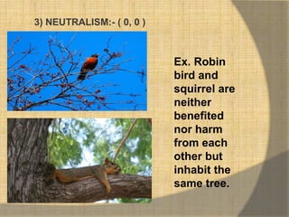 Ecological relationship .ppt