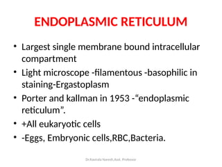 ENDOPLASMIC RETICULUM STRUCTURE AND FUNCTIONS | PPT