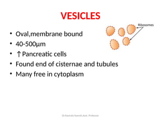 ENDOPLASMIC RETICULUM STRUCTURE AND FUNCTIONS | PPTX
