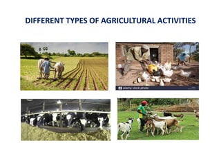 AGRICULTURAL PRACTICE AND TECHNOLOGY TRANSFER | PDF