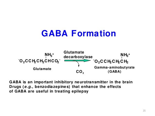 Biochemistry _ amino acid oxidation