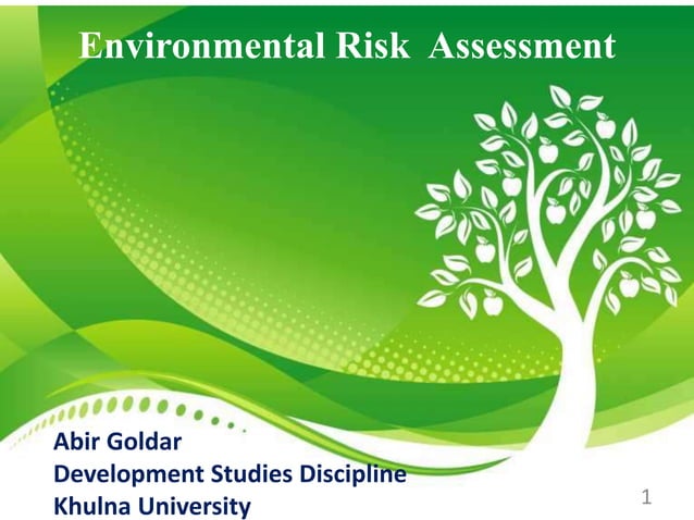 Environmental Risk Assessment | PPTX