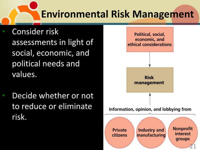 Environmental Risk Assessment | PPTX