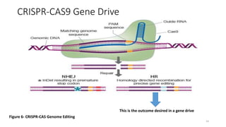 Bacterial Adaptive immunity, Gene drives and the genetic control of ...