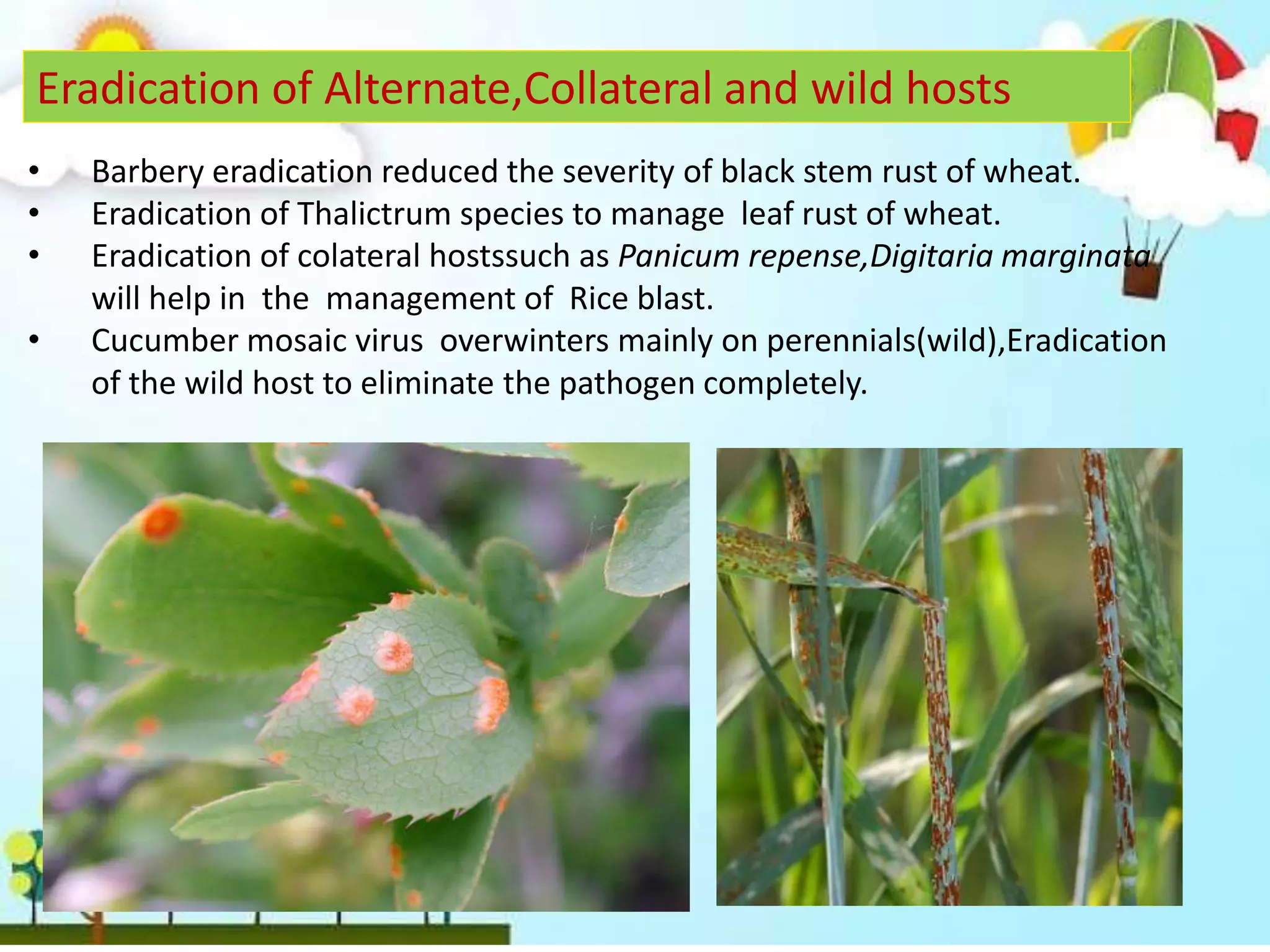 PRINCIPLES OF PLANT DISEASE MANAGEMENT AN OVERVIEW ON ERADICATION | PPTX