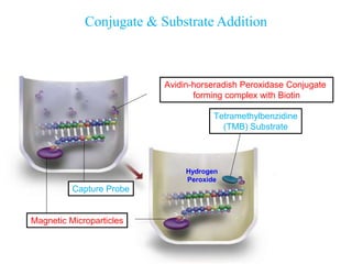chlamydia nucleic acid amplification tests | PPTX
