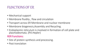 cell organelles- Endoplasmic reticulum and Golgi bodies | PPTX
