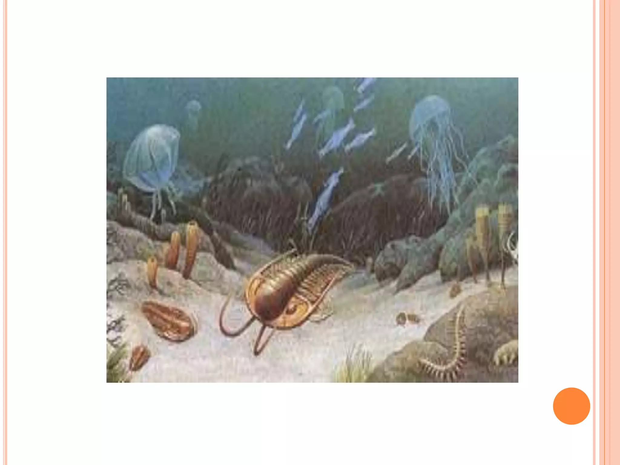 Era proterozoica | PPTX | Geology | Science