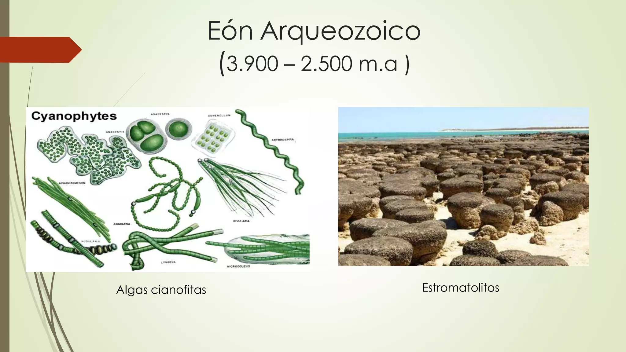 Eras geologicas | PPTX