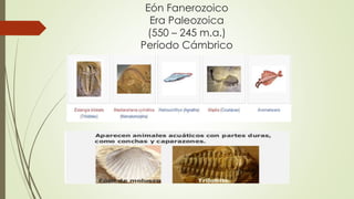 Eras geologicas | PPTX