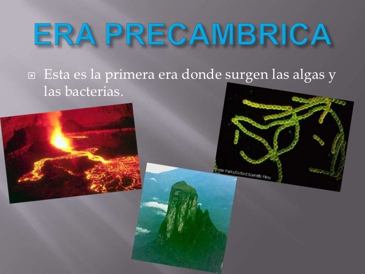 Eras geológicas