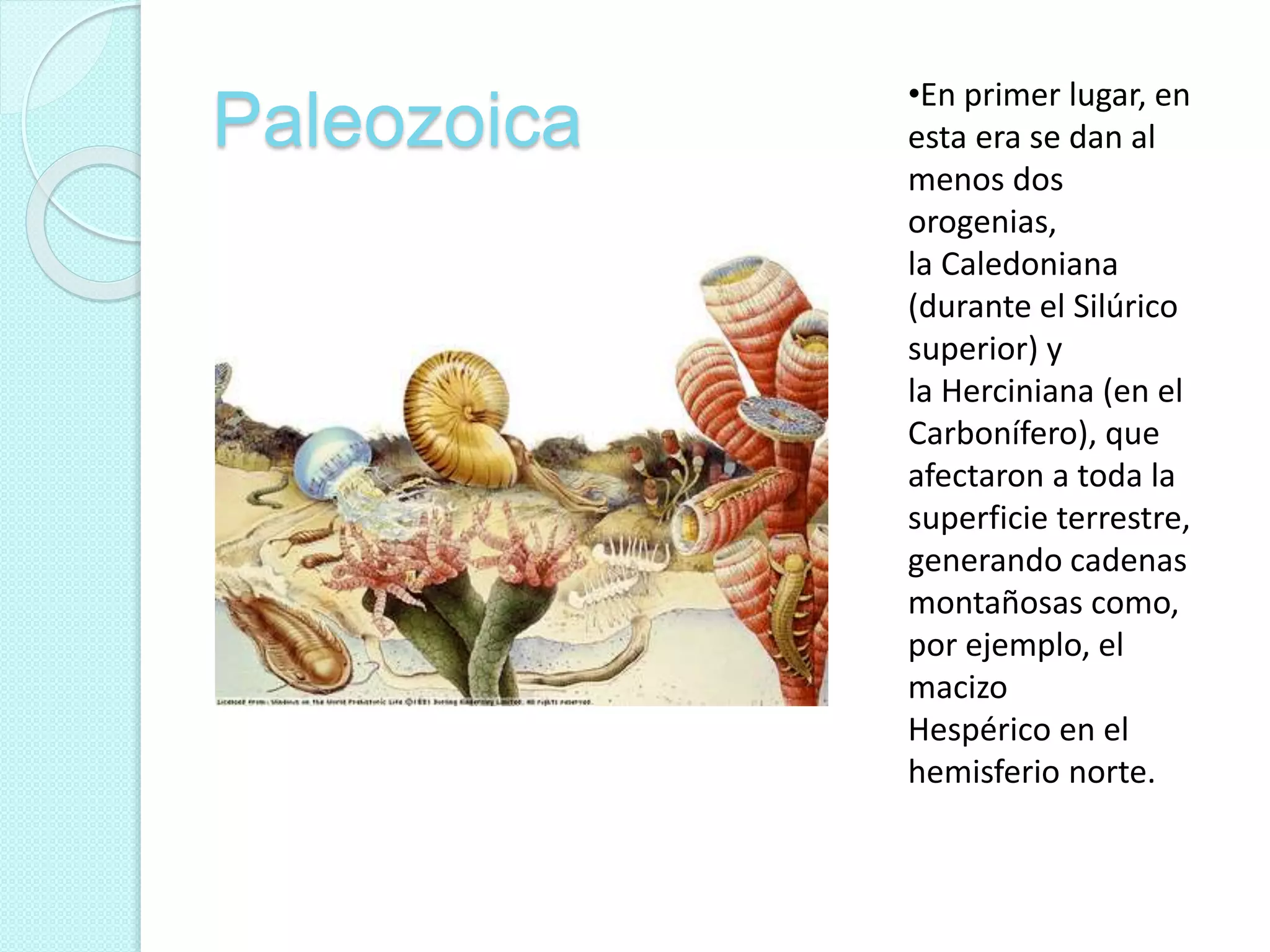 Eras geológicas de la tierra | PPTX | Geography | Science