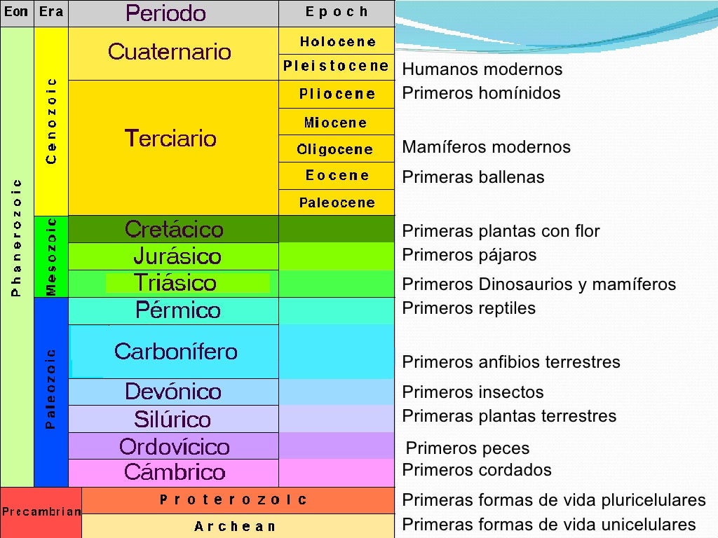Tareas Y Trabajos Tabla Con Eras Geologicas Y Sus Car - vrogue.co