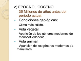 Eras geologicas | PPTX