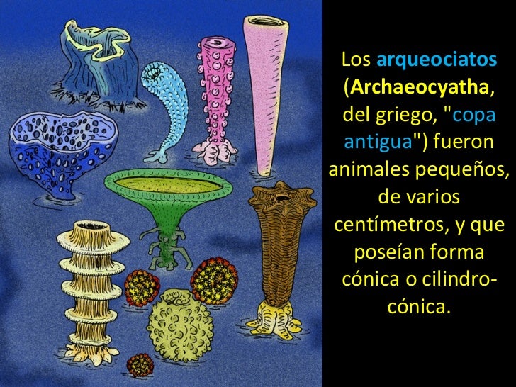 Eras Geologicas