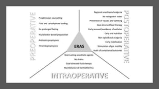 Eras | PPT