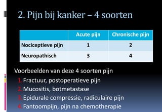 Pijn bij kanker, feb 2014 | PDF