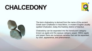 Exploring Terra's Resources- Vyzion Highschool | PPT