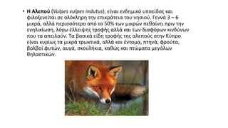 NATIVE PLANTS AND ANIMALS OF CYPRUS | PPTX