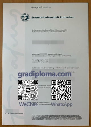 Erasmus University Rotterdam diploma.pdf