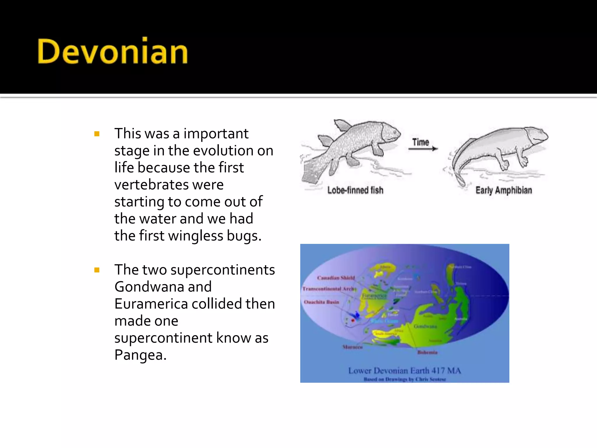 Eras of the earth | PPTX
