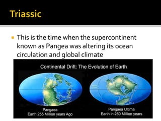 Eras of the earth | PPT
