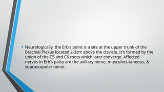 Erb's palsy Lecture notes for education purpose | PPTX