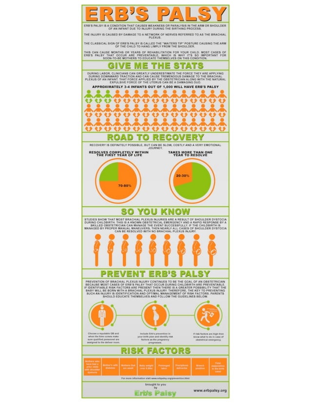 Erb's Palsy Infographic - A Guide to Prevention | PDF