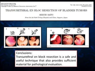 Erb tendourology section | PPT