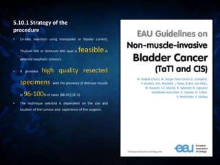 Erb tendourology section | PPT