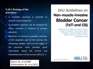 Erb tendourology section | PPT