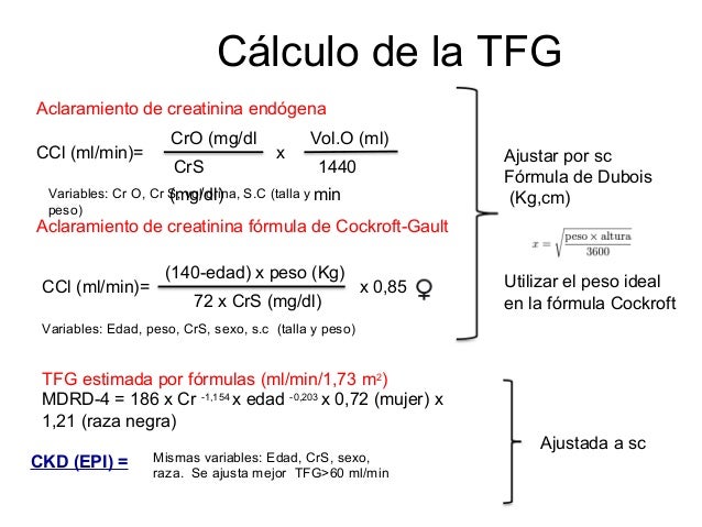 Enfermedad renal crónica: diagnostico, clasificacion y progresión.