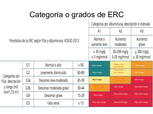 Enfermedad renal crónica: diagnostico, clasificacion y progresión.