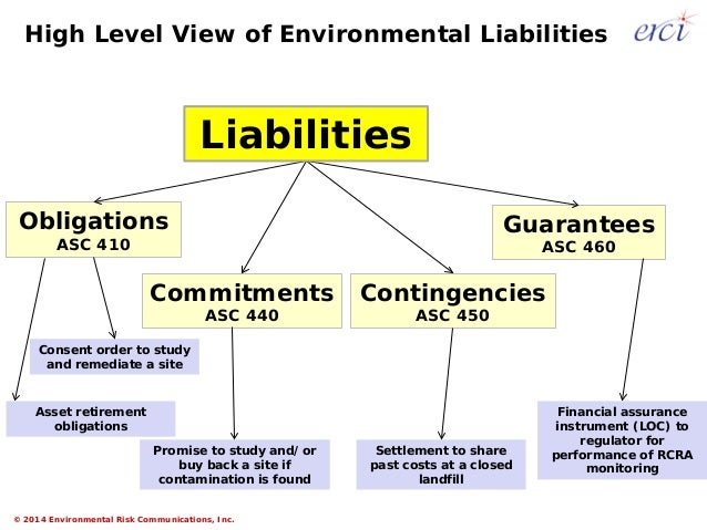Estimating and Disclosing Environmental Liabilities