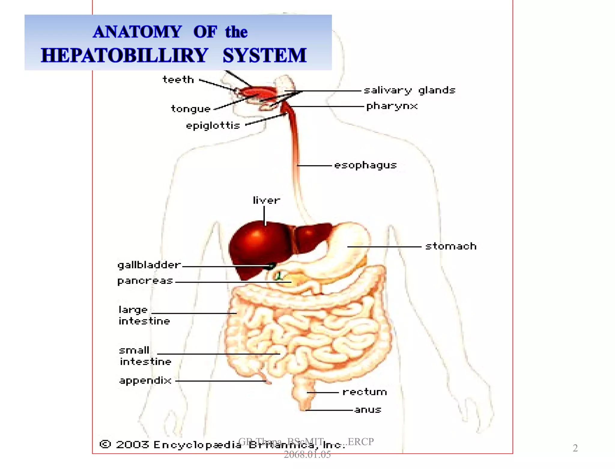 ERCP PROCEDURE | PPT