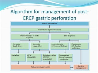 ERCP procedure/management and literature review | PPT