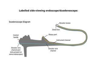 Endoscopic Retrograde Cholangiopancreatography .pptx