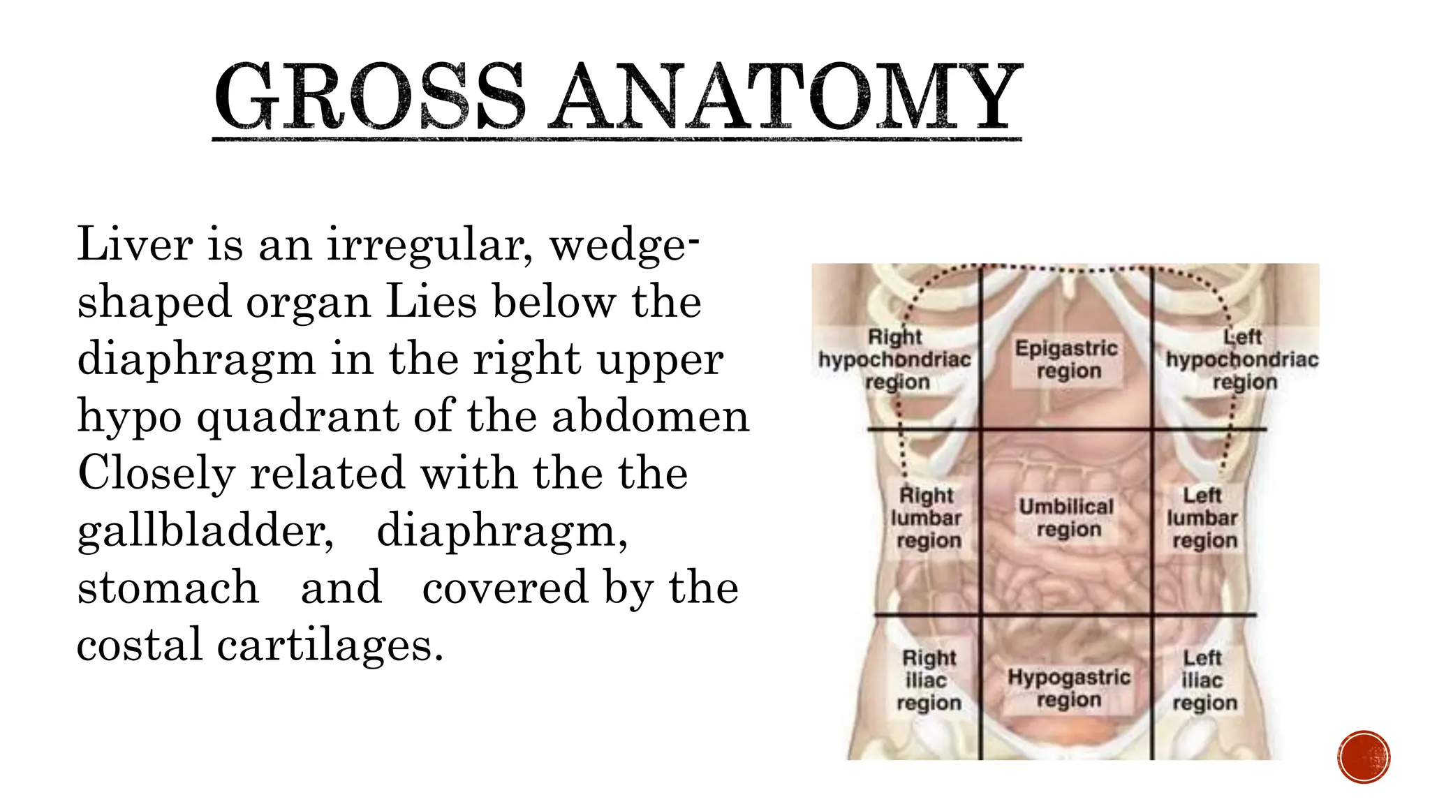 (ERCP) Cholangiopancreatography Bile ducts procedure | PPTX