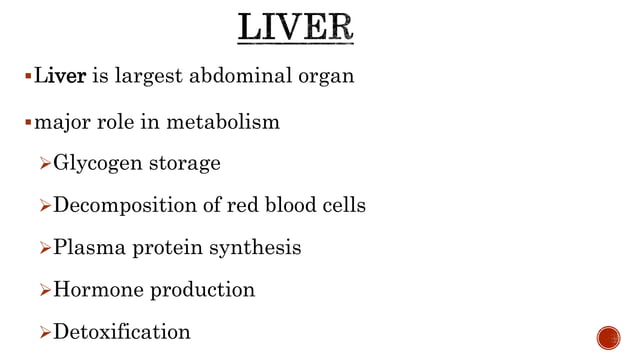 (ERCP) Cholangiopancreatography Bile ducts procedure | PPTX | Digestive Disorders | Diseases and ...