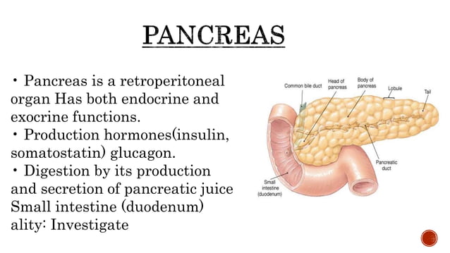 (ERCP) Cholangiopancreatography Bile ducts procedure | PPTX | Digestive Disorders | Diseases and ...