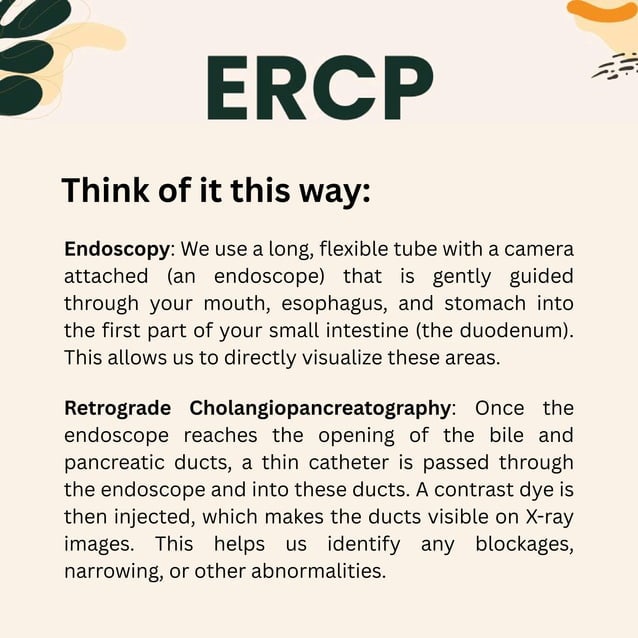 ERCP - Endoscopic Retrograde Cholangiopancreatography | PDF
