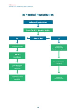 Erc summary booklet_hres | PDF