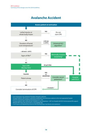 Erc summary booklet_hres | PDF