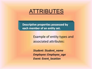 Entity Relationship Diagram | PPTX