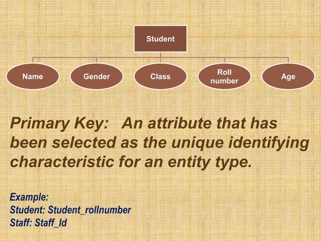 Entity Relationship Diagram | PPTX | Databases | Computer Software and Applications