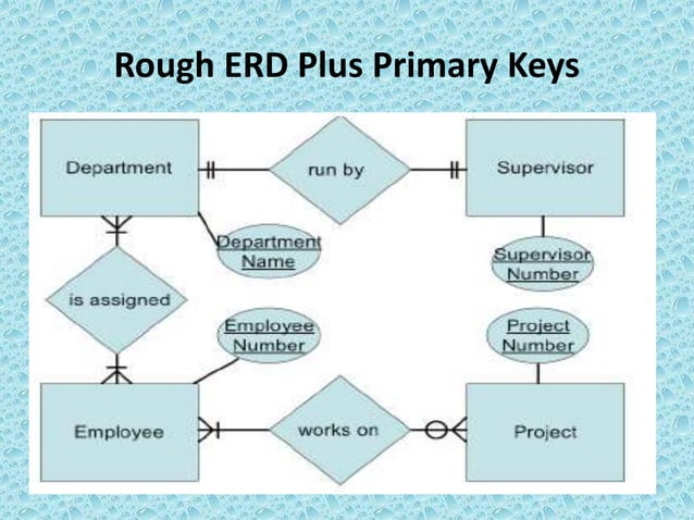 Entity Relationship Diagram | PPTX | Databases | Computer Software and Applications