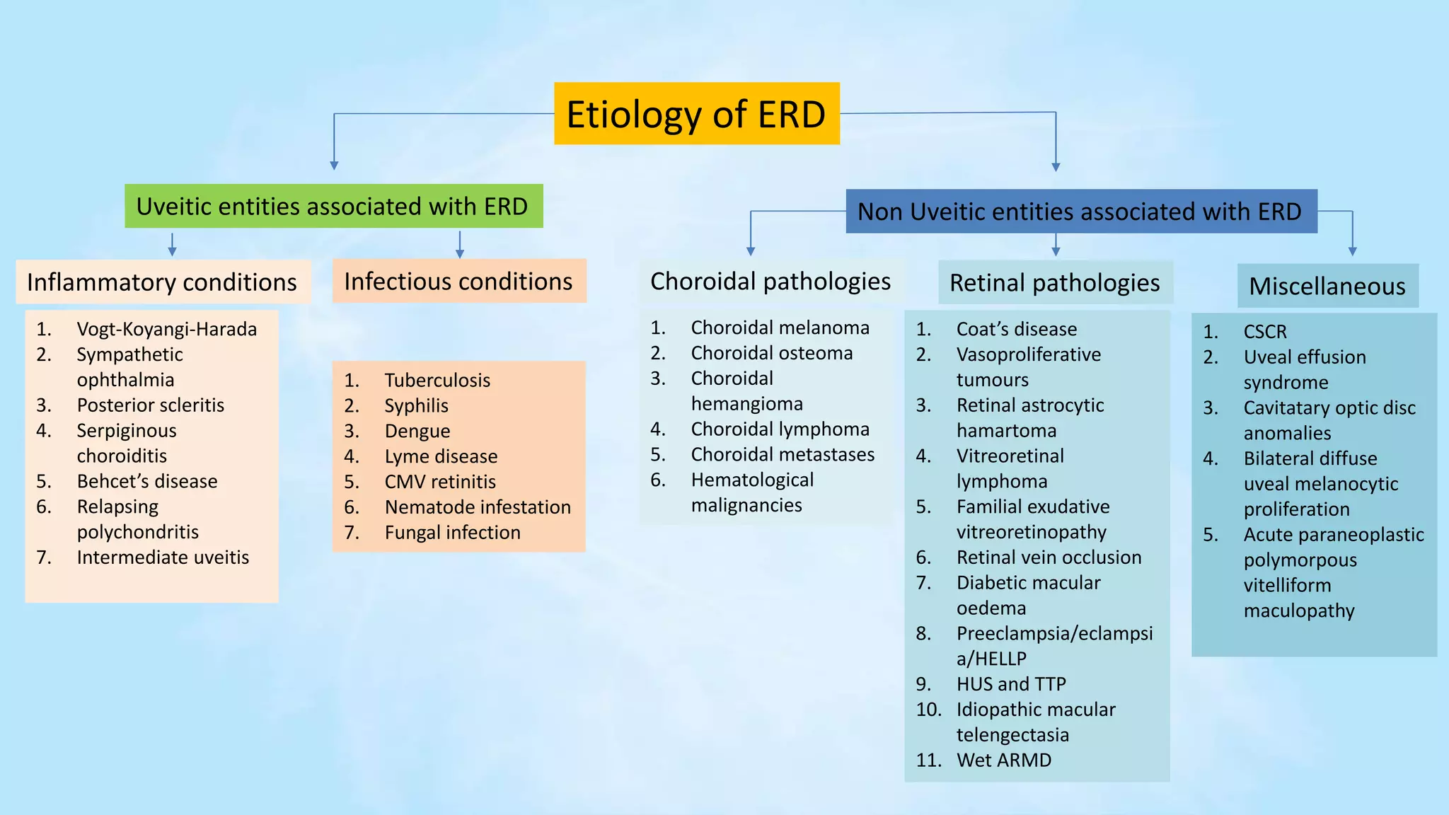 Exudative Retinal Detachment | PPTX